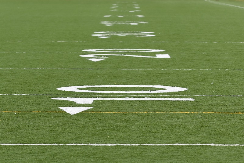 Bermudagrass Athletic Field Basic Program - Scientific Plant Service