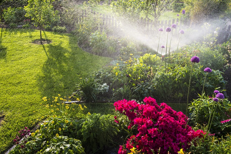 4 Signs That You Are Overwatering Your Plants - Scientific Plant Service