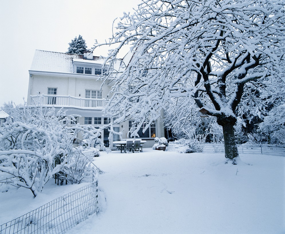 The Potential Effects of Snow on Your Lawn - Scientific Plant Service