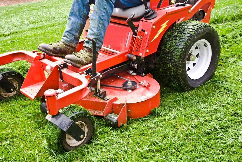 What Is The Best Way to Mow Your Lawn? - Scientific Plant Service