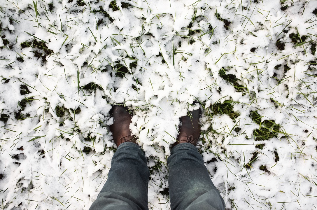 What To Do When Lawn Ice Patches Form - Scientific Plant Service