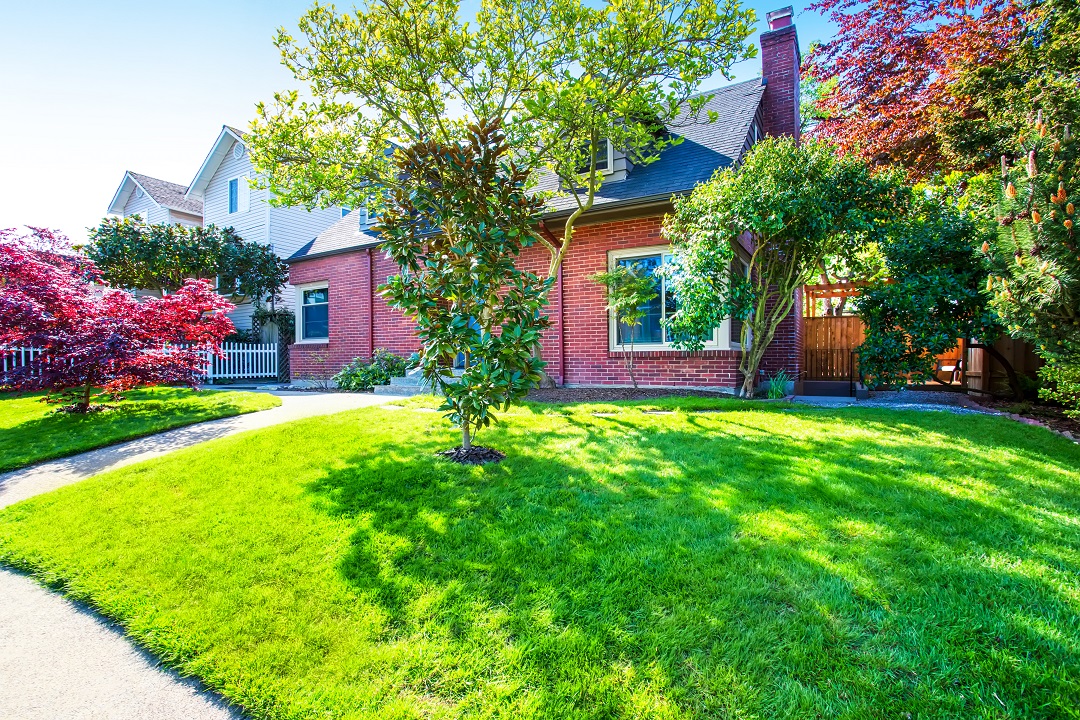 Seven Steps for a Beautiful Lawn Restoration - Scientific Plant Service
