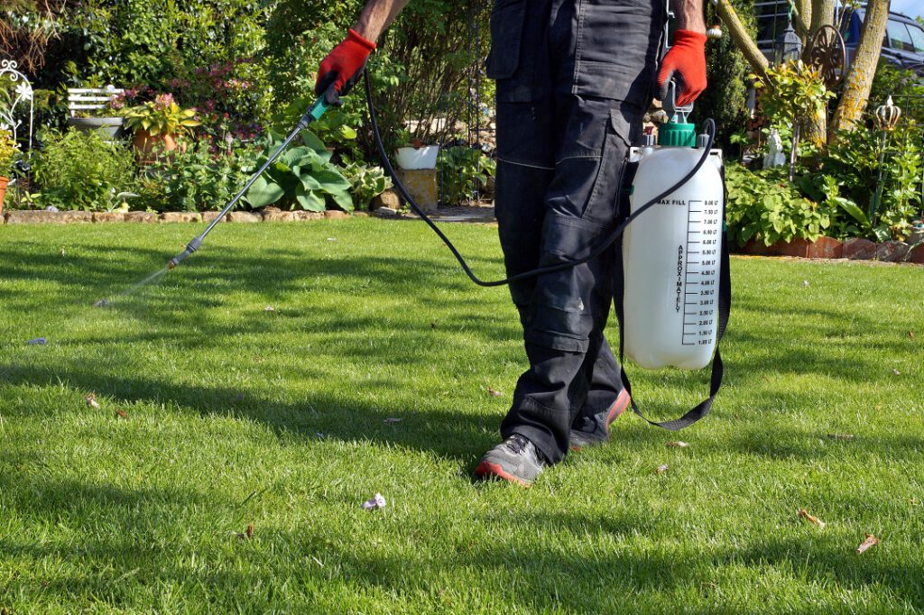 Broadleaf Weed Control in Established Lawns - Scientific Plant Service