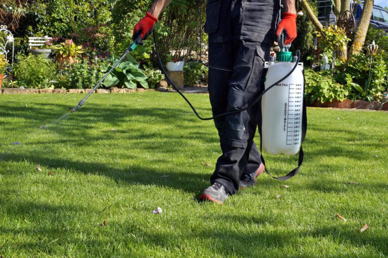 Baltimore Broadleaf Weed Control | Scientific Plant Service