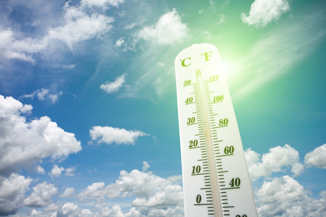 What To Do for Your Landscape During a Heat Wave - Scientific Plant Service