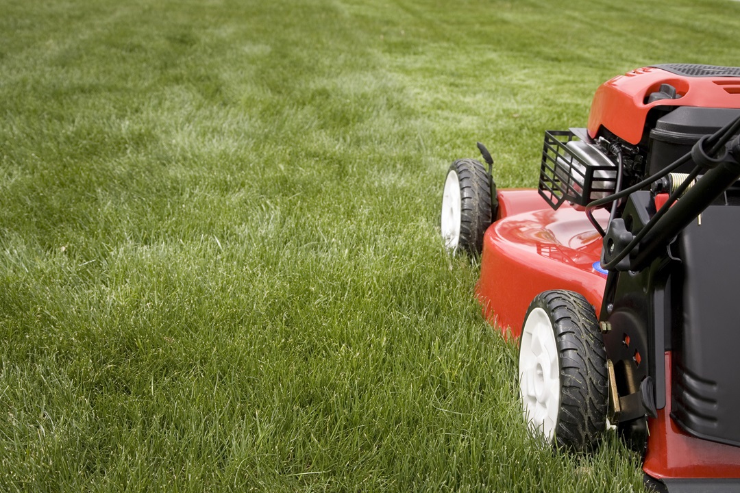 Tips for Recycling Grass Clippings - Scientific Plant Service