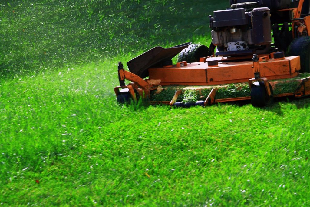 Lawn Care Service in Mount Airy | Scientific Plant Service